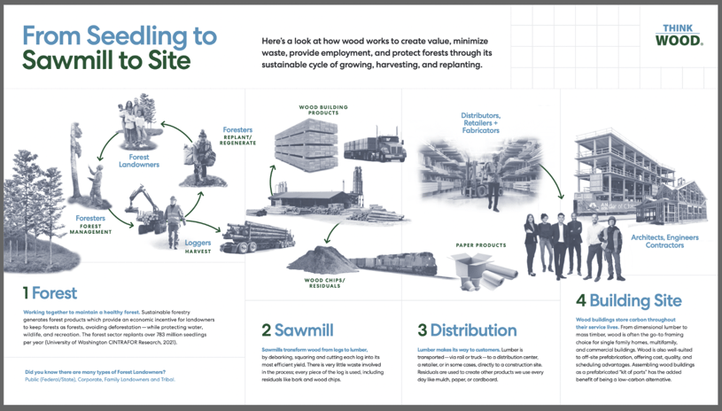 Download the Wood Value Chain Infographic